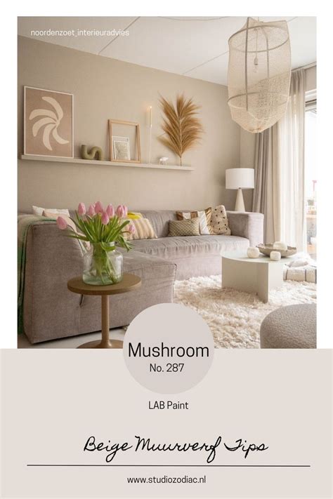 Trendkleur 2023 Beige Muurverf Mushroom Living Room Inspiration Home