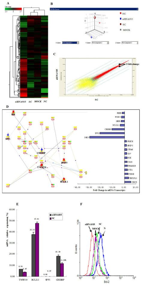 Results Of The Gene Chip Microarray Analysis And Validation A Visual