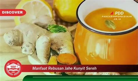 Kamu Wajib Tahu 30 Manfaat Rebusan Jahe Kunyit Sereh Yang Jarang Diketahui