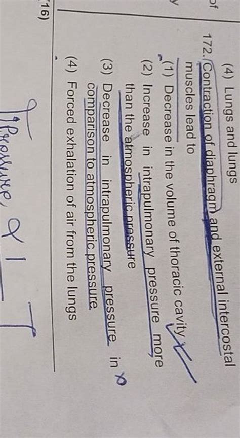 Contraction Of Diaphragm And External Intercostal Muscles Lead To Filo