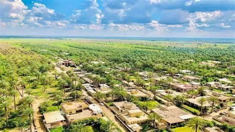 غابات في العراق لابد من زيارتها دليل الاماكن السوق المفتوح