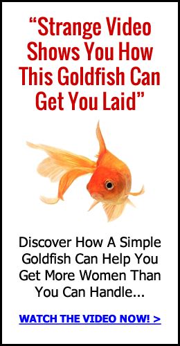 How To Text Like An Alpha Male Mastering The Art Of Confident Communication Chi Rho Dating