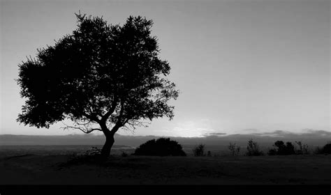 Poem Boundless Love — Hristiyan Atanasov