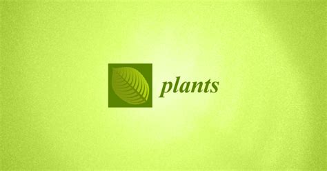 Edinei Armani On Linkedin Foliar Application Of Selenium Associated With A Multi Nutrient