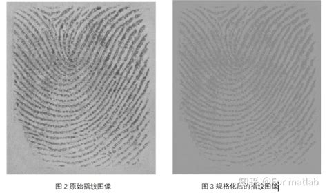 基于matlab指纹识别系统 Gui预警 Csdn博客