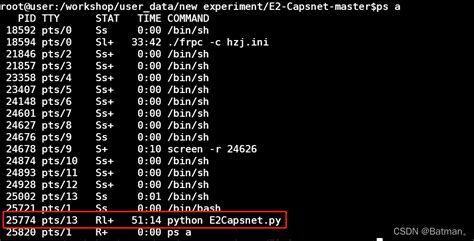 查找linux进程所占用的物理内存以及显存linux查看显存占用 Csdn博客