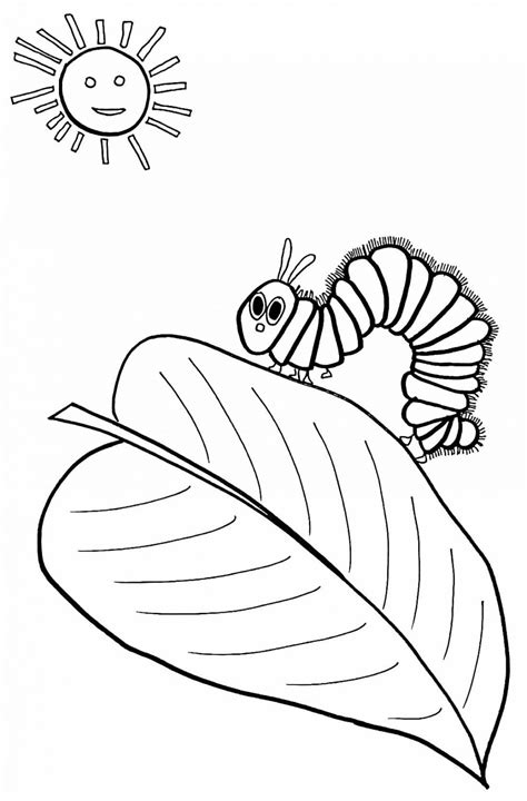 Lagarta E Borboleta Para Colorir Imprimir E Desenhar Colorir Me Pdmrea