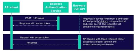 Data Access Apis Manual Basware Developer Site