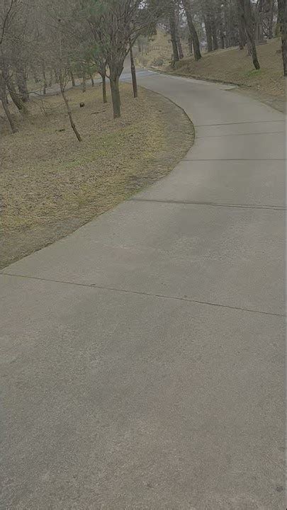 콘크리트 포장 산책로와 빗물받이 집수정 Youtube