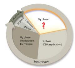 Bio Chapter Test Quizlet