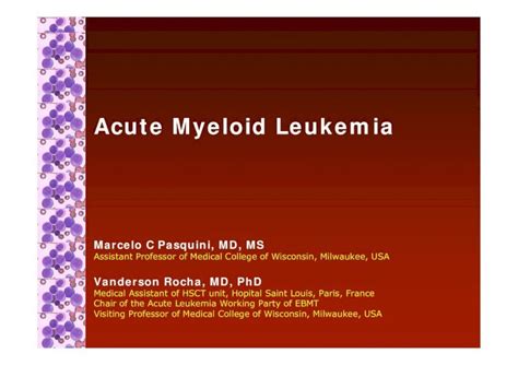 Pdf Aml Patho Physiology And Classification V Roccha Dokumentips