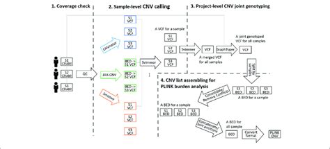Overview Of The Cnv Identification Workflow From Wgs Data Consisting