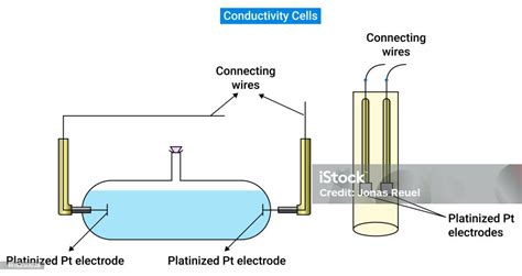 Two Different Type Of Conductivity Cells Stock Illustration Download Image Now Electricity