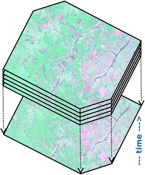 Illustration Of The Voxel Sampling Units Proposed By Boschetti Et Download Scientific