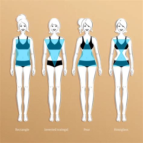 Women Body Types Stock Vectors Royalty Free Women Body Types