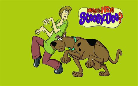 Scooby And Shaggy Scooby Doo Fondo De Pantalla 38561859 Fanpop