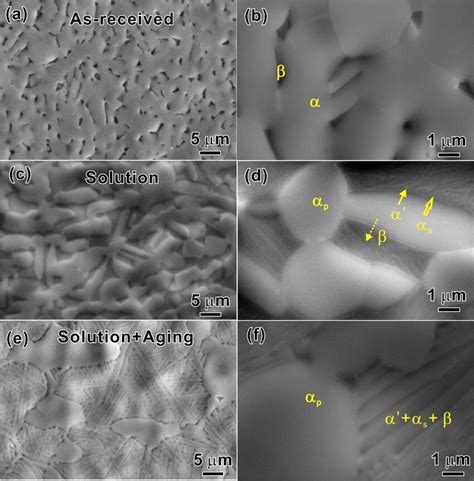 A As Received Microstructure C Nearly Equiaxed And Elongated αp