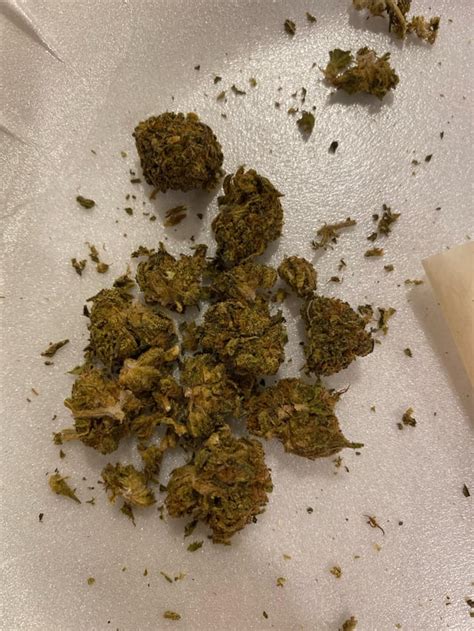 1 Year Old Weed Rsaplings
