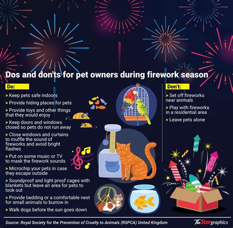 Protecting Pets From Festive Fireworks The Star