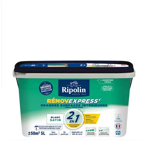 Peinture Mur Et Plafond Blanc Satin Ripolin Renov Express 5l Leroy Merlin
