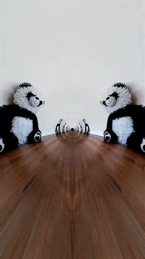 Wolliepedro Youtube