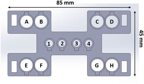 Schematic Of Custom Fiberoptic Probe With Four Source Positions And