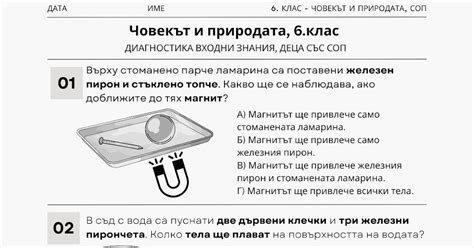 Уроци на Photoshop Gimp Ms Office Scratch Html And Css Science в училище 6 клас Човекът и