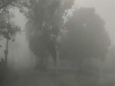 Bihar 31 December Weather Update Real Havoc Of Cold Will Now Be Seen