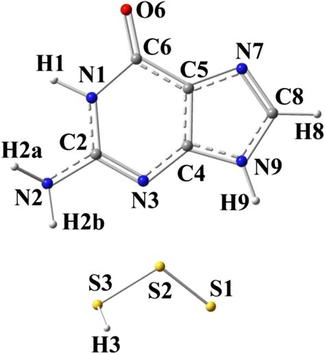 The Standard Atomic Numbering Scheme For Guanine And Trisulfanyl