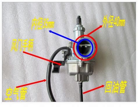 L Cg