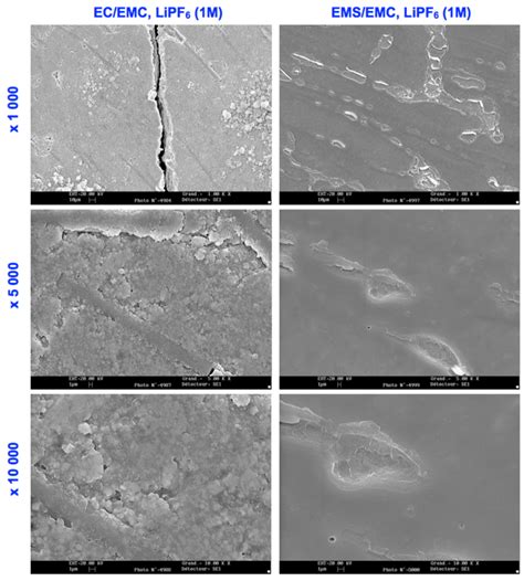 Microscopie électronique à balayage MEB réalisée aux grandissements x