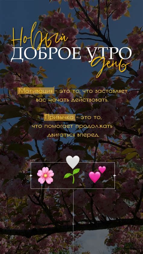 Утренние идеи весенних сторис Доброе утро Мотивация Двигаться вперед