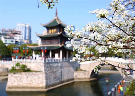 看贵阳《国民经济和社会发展统计公报》中的生态环境领域变化腾讯新闻