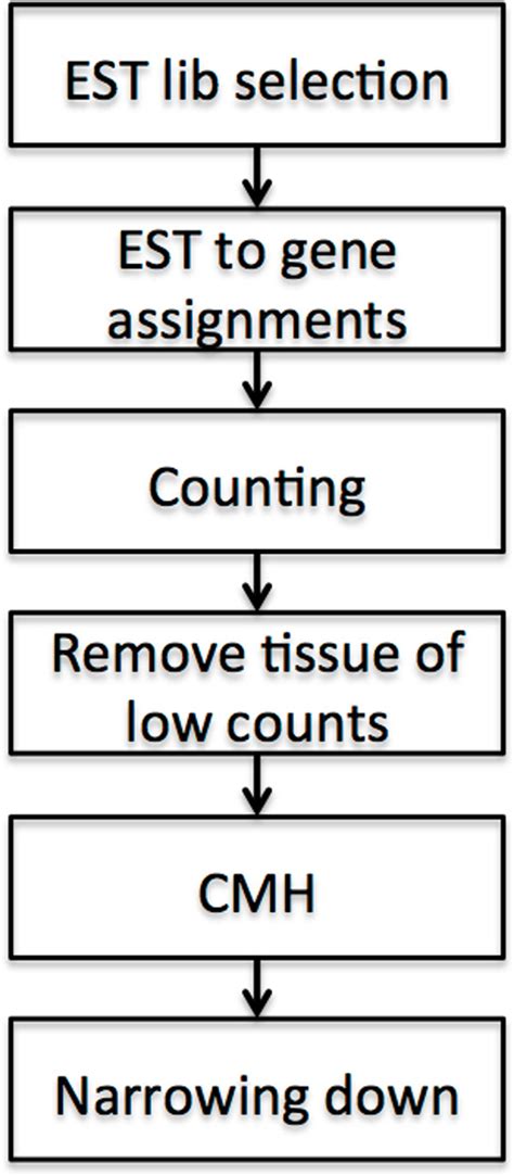 The Basic Steps In Searching For Differential Expression Genes EST Download Scientific Diagram