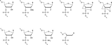 Chemical Modifications To The Ribose Site And Backbone Enhancing The
