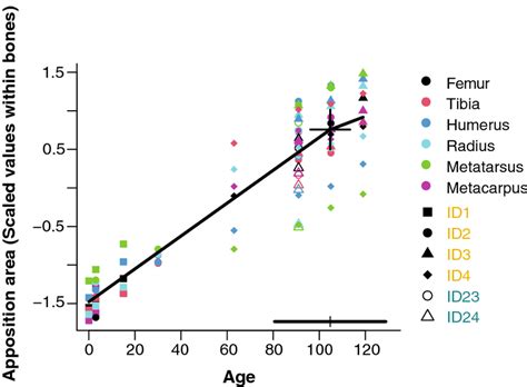Cumulative Apposition Areas Of Bone Tissue In Six Different Limb Bones Download Scientific