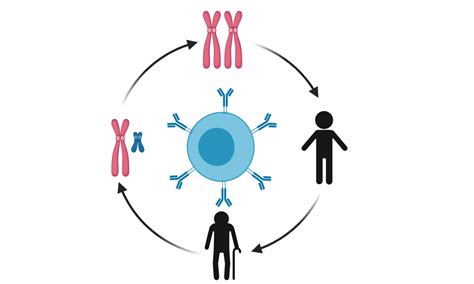 Research The Klein Lab
