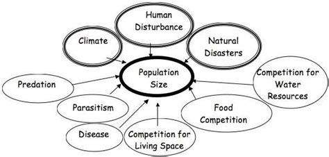 Limiting Factors Examples A Comparison Of Density Dependent And