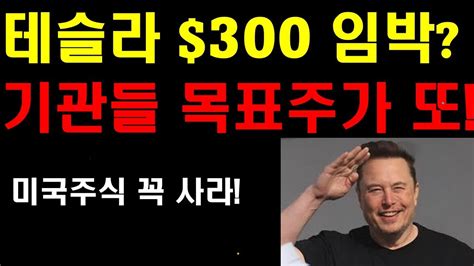 테슬라주가 300 돌파 임박했나 기관들 목표주가 또 올렸다 테슬라의 단기적 장기적 전망 분석 미국주식을 반드시 사야 하는 이유 11월 선거후 주식시장 큰 상승 오나