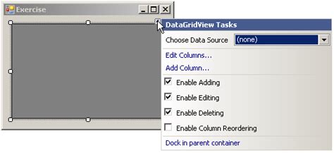 Windows Control The Data Grid View