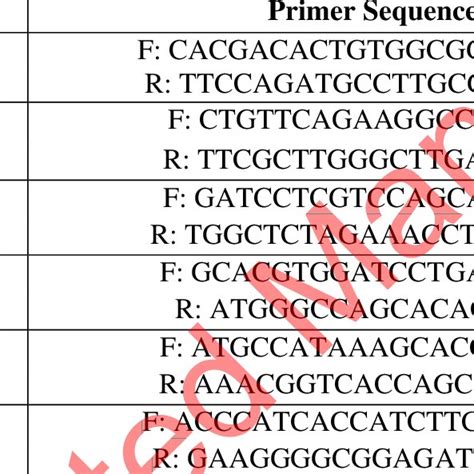 Primer Sequences For Real Time Polymerase Chain Reaction Download