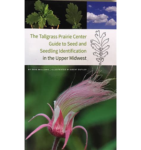 Seedling Identification Guide