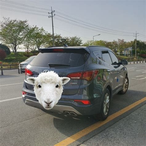 부산 자동차 썬팅 싼타페 기존썬팅 제거 후 전면 및 후면 뒷유리 기포 뽀글이 제거및 열차단 90필름 재시공 부산광역시 사상구 괘법동 자동차유리전문점 당근 비즈 소식