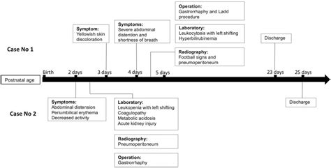 Neonatal Gastric Perforation A Report Of Two Cases And A Sy Medicine