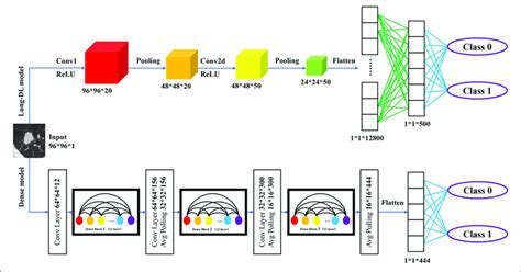 Structure Of Two Deep Learning Model Structure The Lung Dl Model On Download Scientific