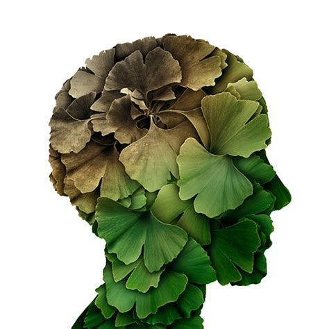Cognitive Brain Test For Pc Mac Windows 11 10 8 7 Free Download