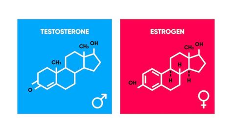 Premium Vector Symbol Of Estrogen And Testosterone Skeletal Formula