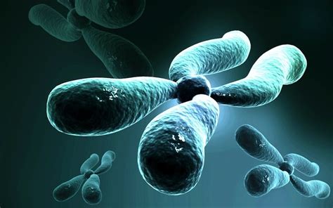 Genetic Adam And Eve Uncovered Live Science