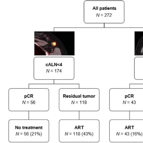 Tailored Adjuvant Axillary Treatment Strategy According To The Mari Download Scientific Diagram