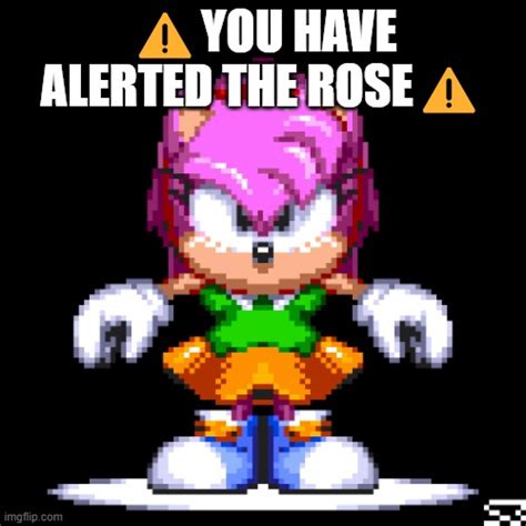 You Have Alerted The Rose Imgflip